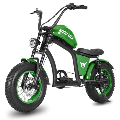 BIGNIU BG-XMINI Electric Bike 500W Motor, 48V 13Ah Battery, Chopper ...