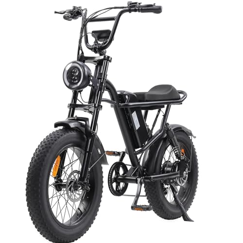 Loopiacycle 1000W Moped Style Ebike Full Suspension 20 Inch Fat Tire ...